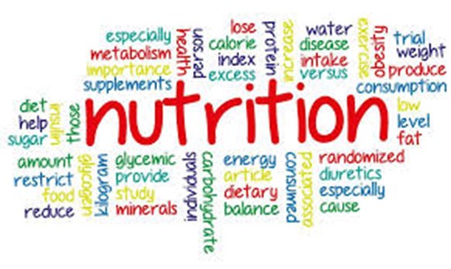 Nutrition Means Many Things. - Dynamo Health